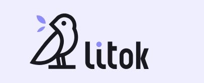 📌 Litok 首月免費體驗，免費使用30天！ – Roro&兔兔的跑跳人生